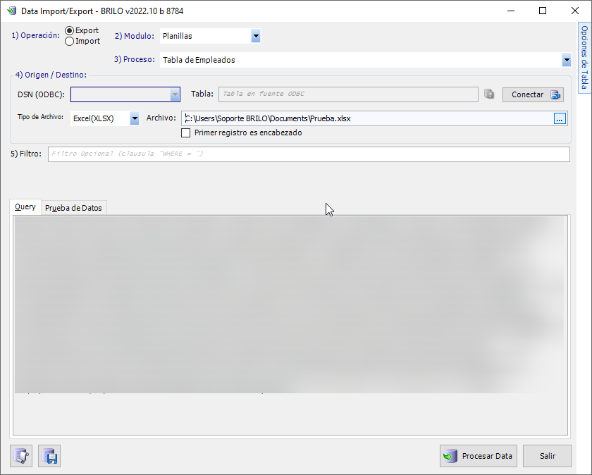 Importar y Exportar Datos - Brilo ERP Docs
